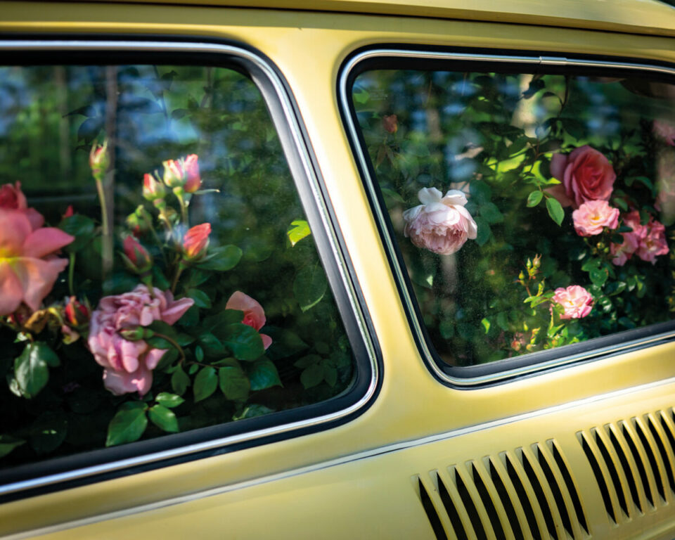 Cig Harvey's photographic work is defined by an acute awareness of ...