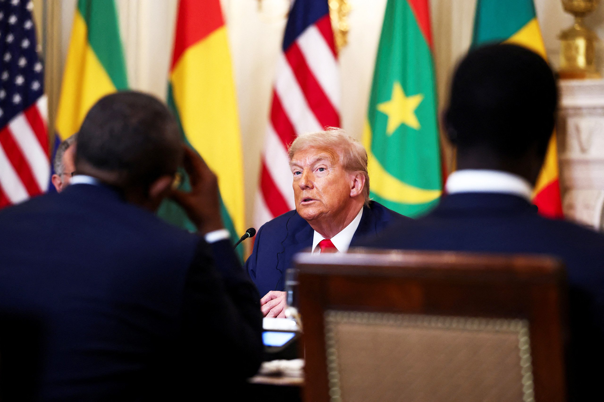 Présidents africains chez Donald Trump : malaise diplomatique et ...